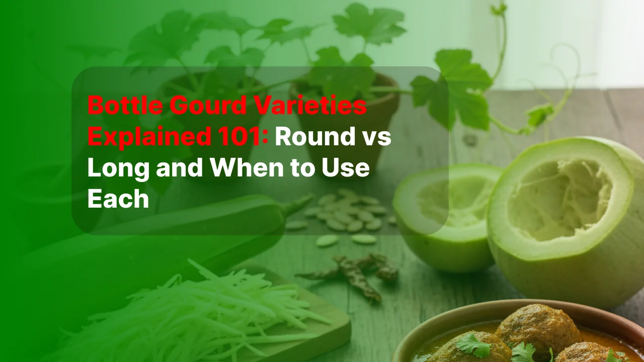 Bottle Gourd Varieties Explained 101: Round vs Long and When to Use Each?